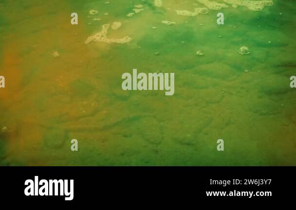 Poison gas lab Stock Videos & Footage - HD and 4K Video Clips - Alamy