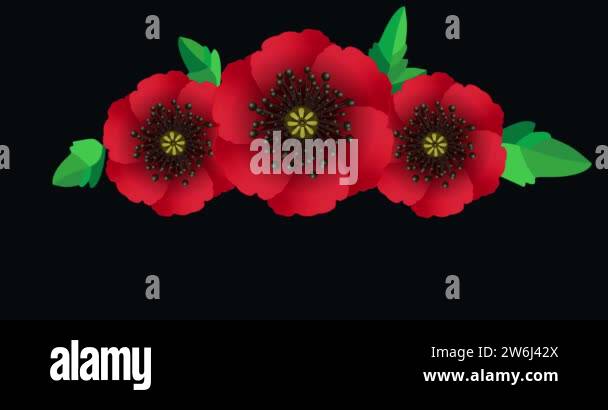 Remembrance poppy frame Stock Videos & Footage - HD and 4K Video Clips ...
