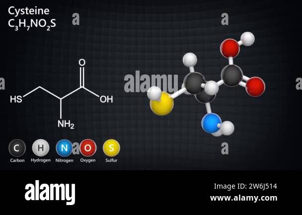 Cysteine molecule structure chemical formula Stock Videos & Footage ...