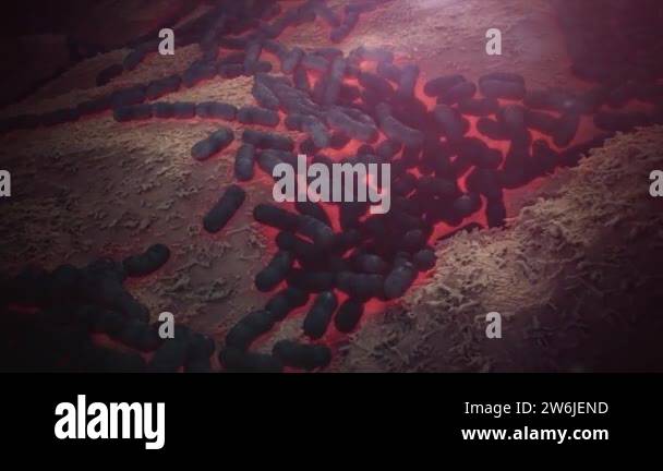 Intestinal villi with bacteria and viruses. Microscopic villi ...