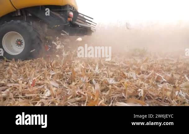 Close up big rotating wheel of combine working on corn field or farm ...