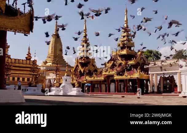 Pagodas india Stock Videos & Footage - HD and 4K Video Clips - Alamy