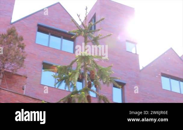 Sun glare building Stock Videos & Footage - HD and 4K Video Clips - Alamy