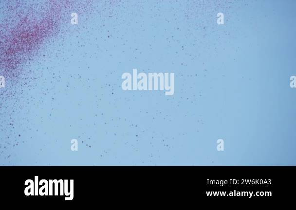 Rose petals falling from the sky Stock Videos & Footage - HD and 4K ...