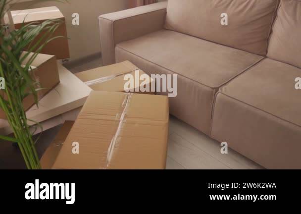 Cardboard palm Stock Videos & Footage - HD and 4K Video Clips - Alamy