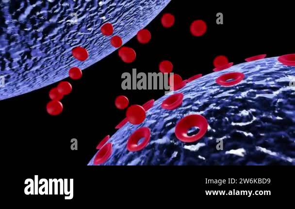 Brain cell synapse showing chemical messengers or neurotransmitters ...
