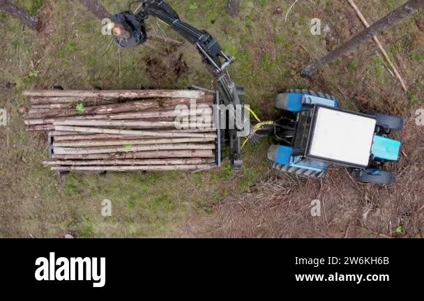 Forest machine lifting timber Stock Videos & Footage - HD and 4K Video ...