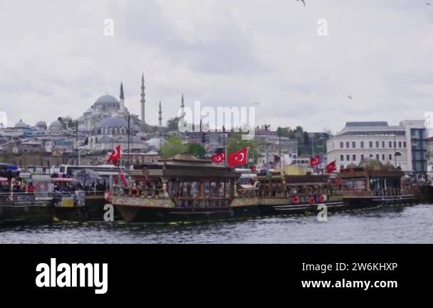 Turkey flying bird Stock Videos & Footage - HD and 4K Video Clips - Alamy