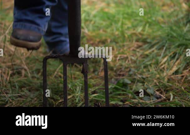 Digging with a garden fork Stock Videos & Footage - HD and 4K Video ...
