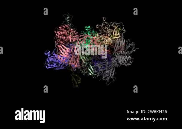 Structure Of Complement Complex Animated 3d Cartoon And Gaussian Surface Models With