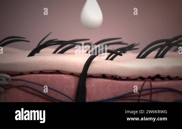 Strong anatomy Stock Videos & Footage - HD and 4K Video Clips - Alamy