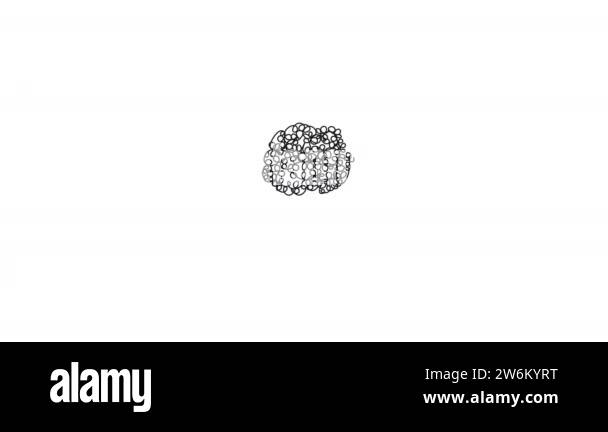 Fertilization drawing Stock Videos & Footage - HD and 4K Video Clips ...