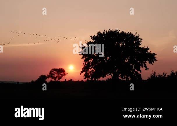 Fly south Stock Videos & Footage - HD and 4K Video Clips - Alamy