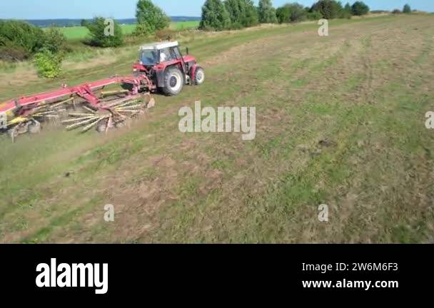 Rowing of the mown silage crop by a tractor in lines. Preparation of ...