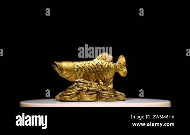 Gold metal fish Stock Videos & Footage - HD and 4K Video Clips - Alamy
