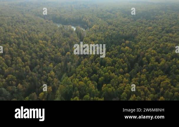 Moscow, Losiny Ostrov National Park. Aerial video of a flight over an ...