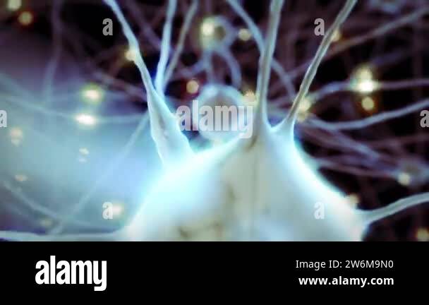 Human brain nerve cells Stock Videos & Footage - HD and 4K Video Clips ...