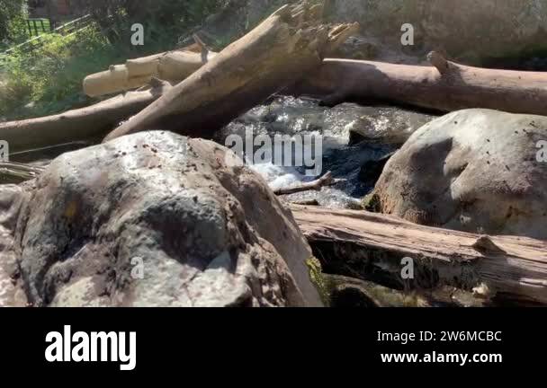 Fallen tree log boulders Stock Videos & Footage - HD and 4K Video Clips ...