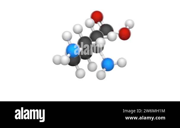 Lysine (symbol Lys or K) is an amino acid that is used in the ...