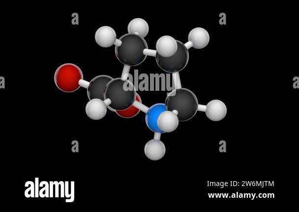 Proline (symbol Pro or P) is a cyclic, nonessential amino acid in ...