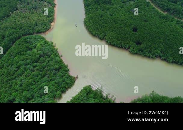 Aerial view Beautiful greenery mangrove forest with mountains peak ...