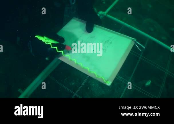 Underwater archeology: sketching an underwater archaeological object ...