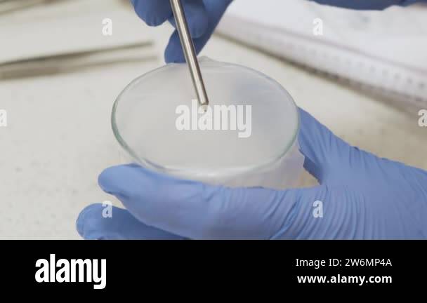 Cleaning solvent Stock Videos & Footage - HD and 4K Video Clips - Alamy