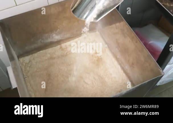 Fresh flour falls out of a trough on to a conveyor belt below inside a ...