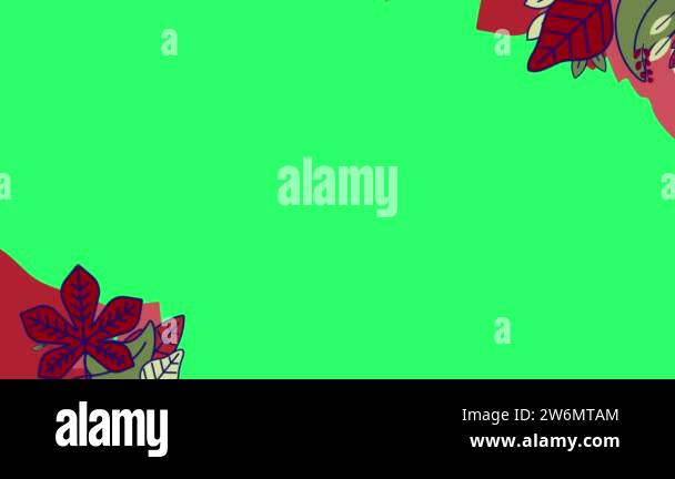 Animation picture frame flower concept with green space Stock Video ...