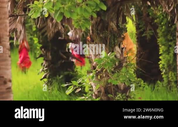 Cham village cambodia Stock Videos & Footage - HD and 4K Video Clips ...