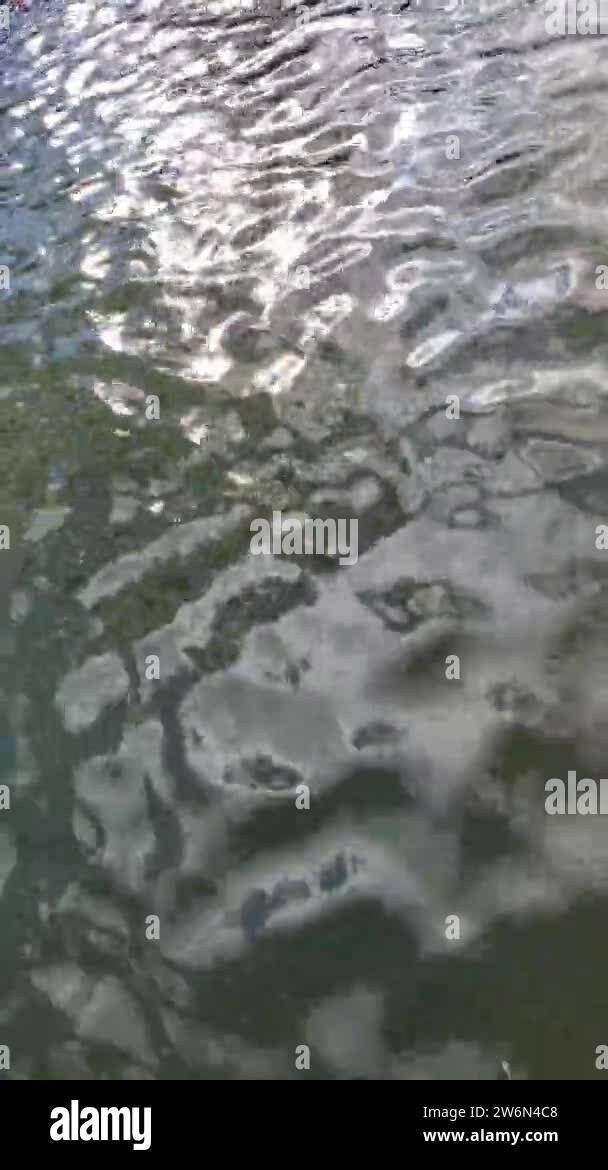 Sparkling blinking sun flares at wavy green water surface of river ...