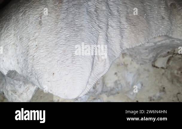 Underground Cave with Stalactite Rock Formations Hanging from Twins ...