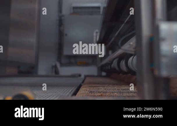 Bread bakery food factory. Modernization of food processing plants ...