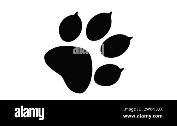 Paw track mark Stock Videos & Footage - HD and 4K Video Clips - Alamy
