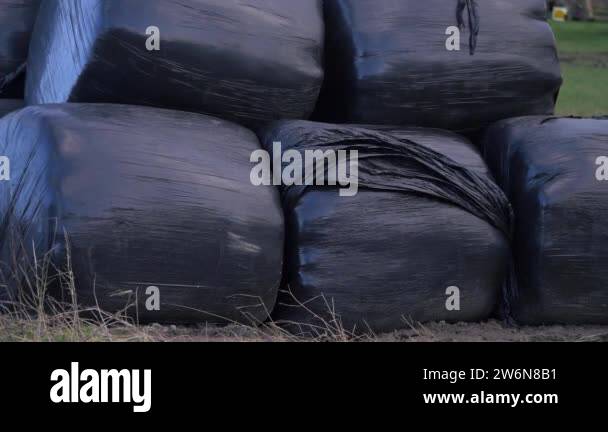 Black silage bags Stock Videos & Footage - HD and 4K Video Clips - Alamy