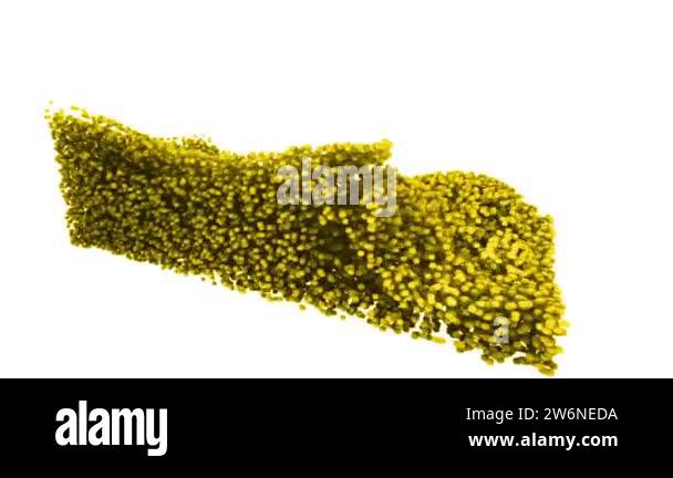 VJ loop VFX. Particle-based 3D fluid simulation. 3D liquid particles. Particle flow. Fluid ...