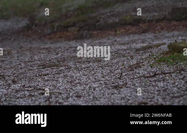 Hailstones falling Stock Videos & Footage - HD and 4K Video Clips - Alamy