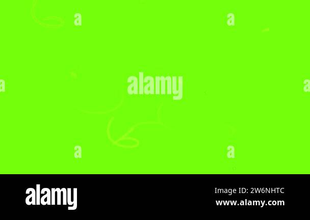 Lasso symbol Stock Videos & Footage - HD and 4K Video Clips - Alamy