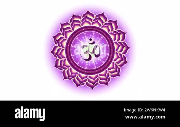 Symbolic animation of the rotational movement of the human energy ...