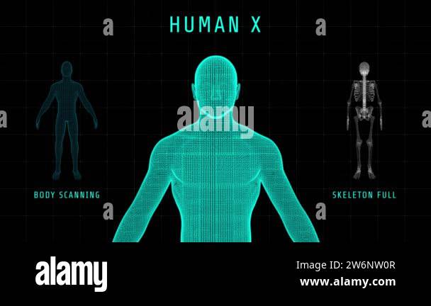 Human body graphics Stock Videos & Footage - HD and 4K Video Clips - Alamy