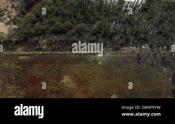 Aerial drone point view aftermath of heavy rain, flooded fields, dead ...