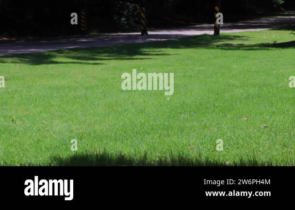 Silver comet trail - Beautiful landscaping and people riding by on ...