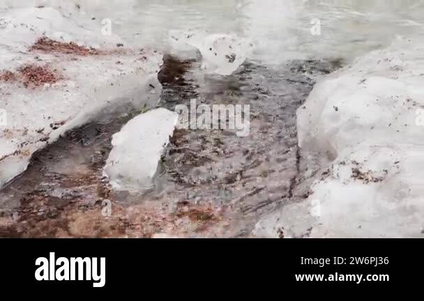 Puddle ice park Stock Videos & Footage - HD and 4K Video Clips - Alamy