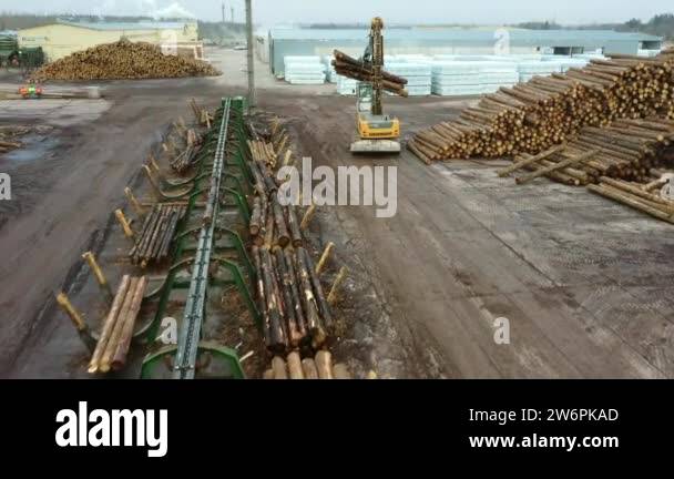 A logging machine transports logs to a stack. Loader of logs at the ...