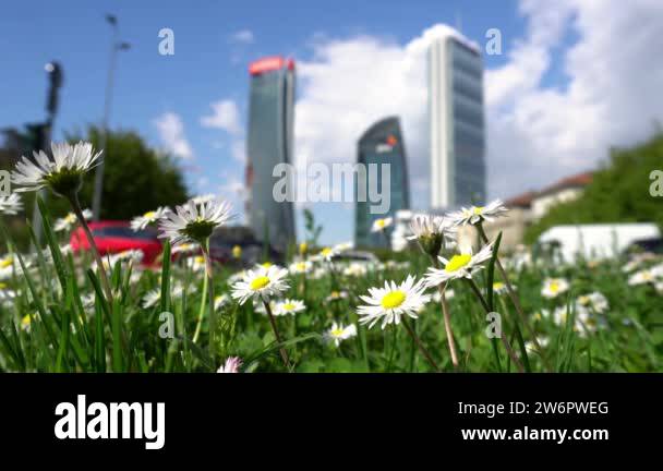 Europe, Italy , Milan April 2021 - flowers and greenery of plants in ...