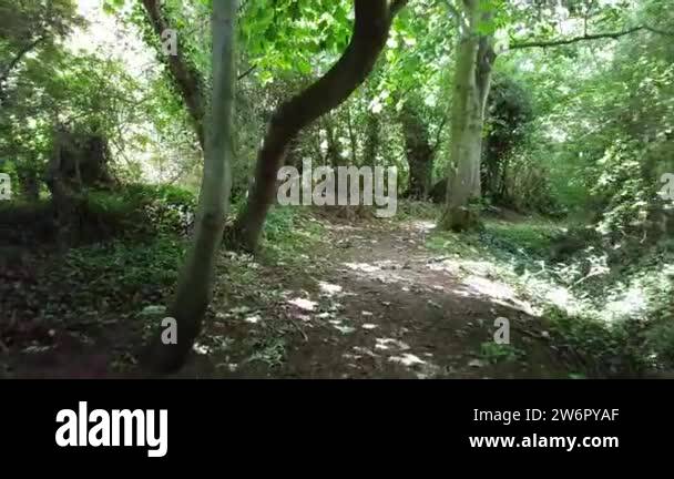 Mold wales Stock Videos & Footage - HD and 4K Video Clips - Alamy