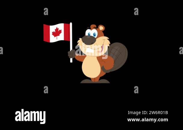 National animal of canada Stock Videos & Footage - HD and 4K Video ...
