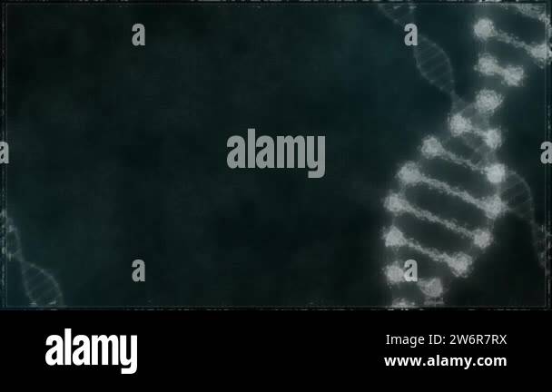 4K X-ray Organic DNA Strand Loop Animation Background. Abstract DNA ...