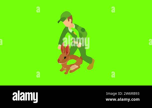 Welfare of wild animals Stock Videos & Footage - HD and 4K Video Clips ...