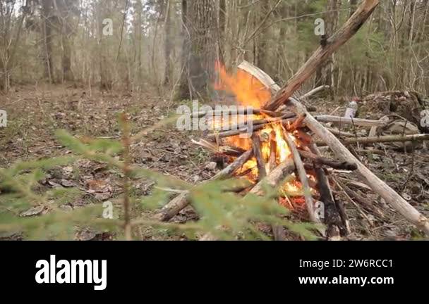 Bonfire in the forest. People lit a fire in the forest for cooking to ...